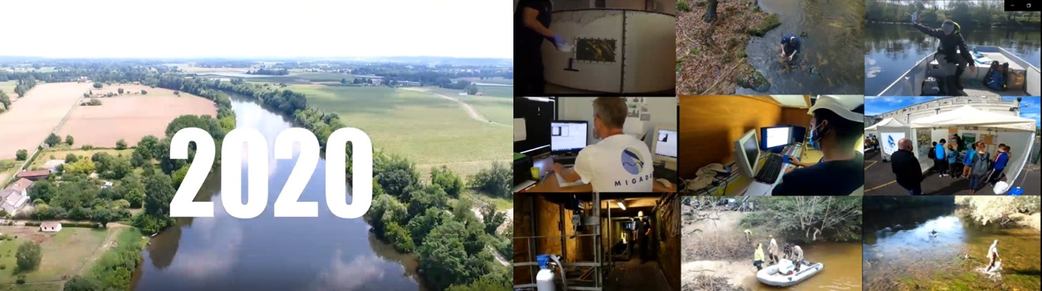 AG 2020 de MIGADO - Migado.fr - Migrateurs Garonne Dordogne Charente Seudre