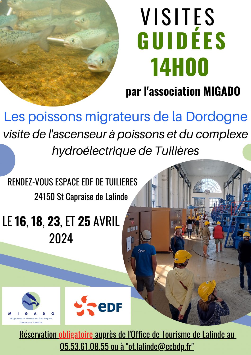 Visite de l'ascenseur à poissons de Tuilières - vacances de printemps ...