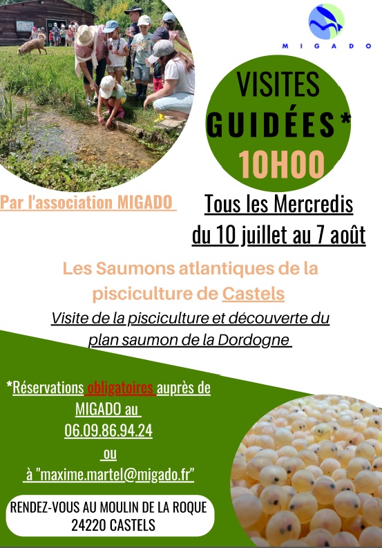 Visites des sites du bassin de la Dordogne été 2024 - Migado.fr ...