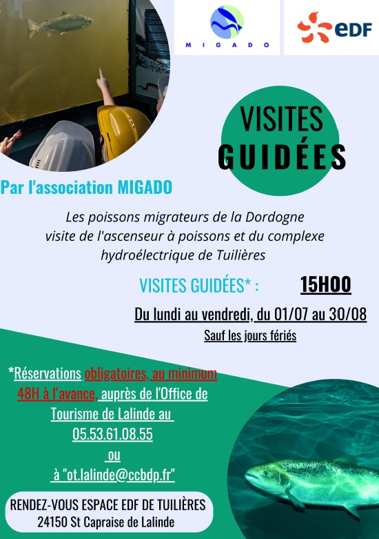 Visites des sites du bassin de la Dordogne été 2024 - Migado.fr ...